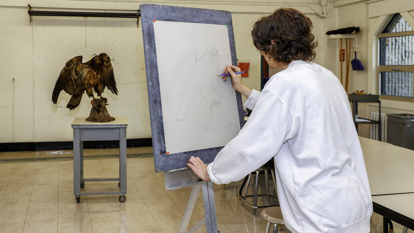 Arts visuels | Cégep de Valleyfield